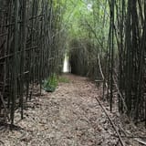 Octoraro Trail Loop, Pennsylvania - 164 Reviews, Map | AllTrails