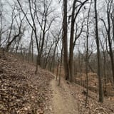 Mossy Ridge Trail, Tennessee - 6,350 Reviews, Map | AllTrails