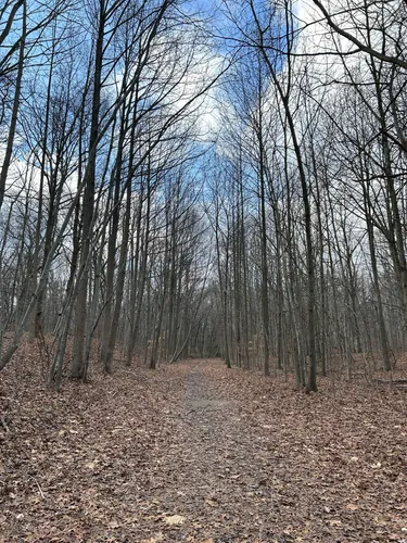 Best Hikes and Trails in Cheesequake State Park | AllTrails