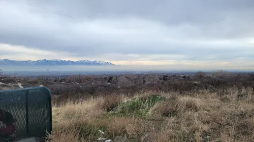 Best Hikes and Trails in Olympus Hills Park | AllTrails