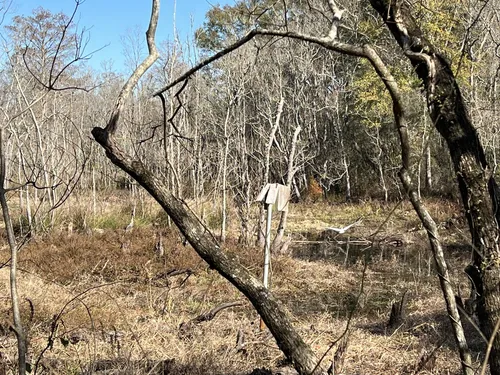 Best Hikes and Trails in Comite River Park | AllTrails