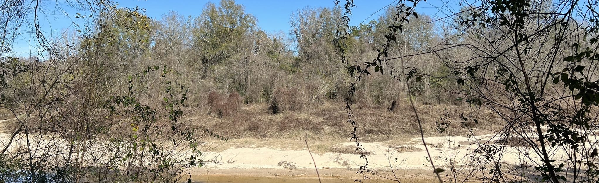 Comite Park Loop, Louisiana - 780 Reviews, Map | AllTrails