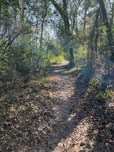 Best Hikes and Trails in Comite River Park | AllTrails