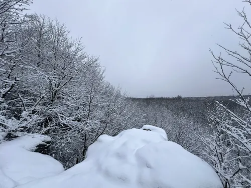 Best Hikes and Trails in Laurel Ridge State Park | AllTrails