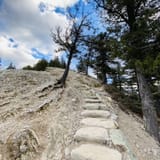 Old Fort Point Trail, Alberta, Canada - 2,115 Reviews, Map | AllTrails