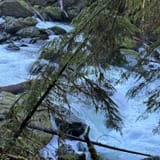 Staircase Rapids Loop, Washington - 2,370 Reviews, Map | AllTrails