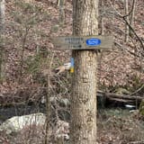 Zoar Trail, Connecticut - 2,045 Reviews, Map | AllTrails
