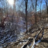 Neale Woods Nature Center Trails, Nebraska - 508 Reviews, Map | AllTrails