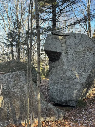 Best Lake Trails in Stoddard | AllTrails