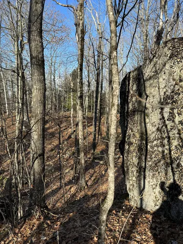 Best Lake Trails in Stoddard | AllTrails