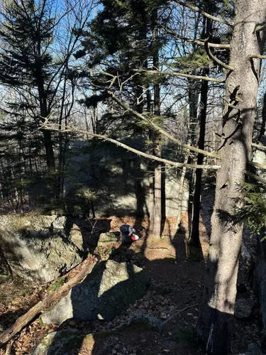 Best Lake Trails in Stoddard | AllTrails