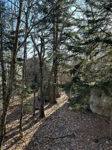 Best Lake Trails in Stoddard | AllTrails