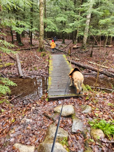 Best Hikes and Trails in White Rocks National Recreation Area | AllTrails