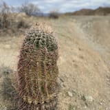Hawes Ridge Loop, Arizona - 2,543 Reviews, Map | AllTrails