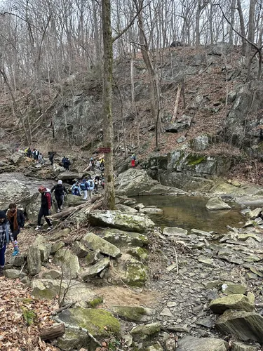 Best 10 Hiking Trails in Turkey Run Park | AllTrails