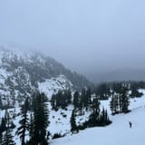 Heather Meadows and Artists Point Trail, Washington - 828 Reviews, Map ...