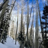 Nambe Lake Trail, New Mexico - 2,540 Reviews, Map | AllTrails