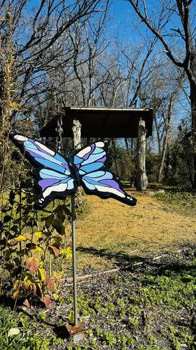 Best Hikes and Trails in Pettinger Nature Preserve | AllTrails