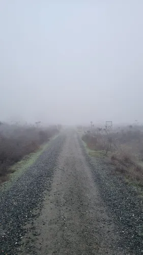 Best Hikes and Trails in Pixley National Wildlife Refuge | AllTrails