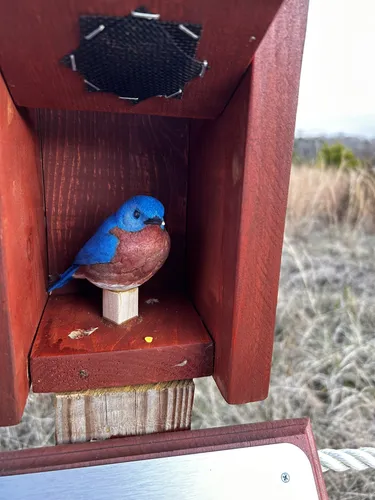 Best Hikes and Trails in Tidmarsh Wildlife Sanctuary | AllTrails