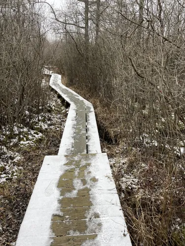 Best Hikes and Trails in Volo Bog State Natural Area | AllTrails