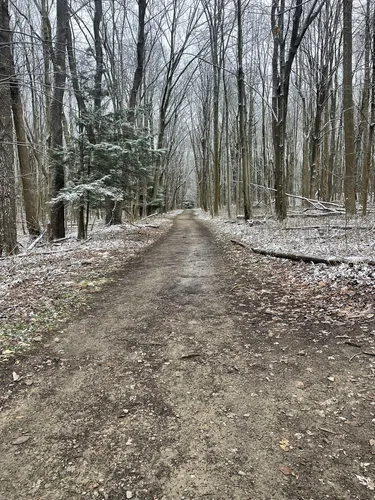 Best Hikes and Trails in Bemus Point | AllTrails