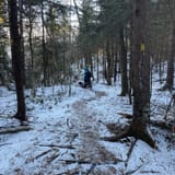 Mount Morgan and Mount Percival Loop, New Hampshire - 3,472 Reviews ...
