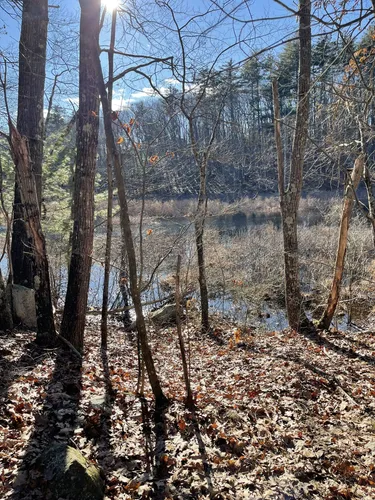 Best Hikes and Trails in Salem Town Forest | AllTrails