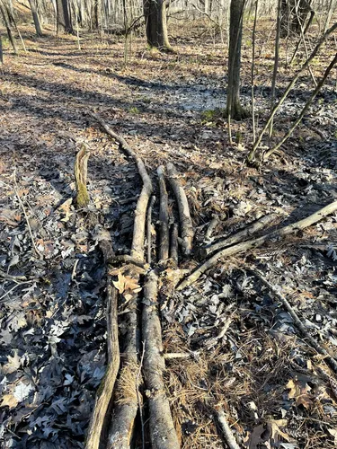 Best Hikes and Trails in Salem Town Forest | AllTrails