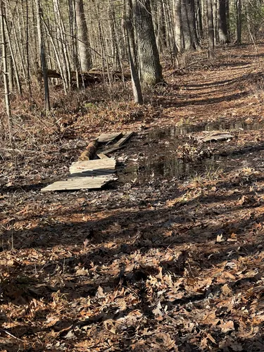 Best Hikes and Trails in Salem Town Forest | AllTrails