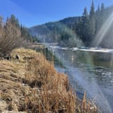 Truckee River Trail, California - 1,622 Reviews, Map | AllTrails