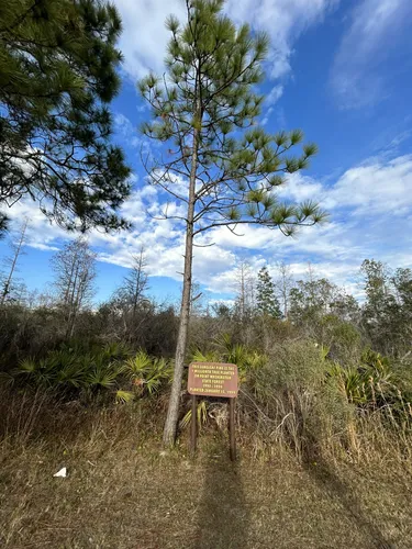 Best Hikes and Trails in Point Washington State Forest | AllTrails