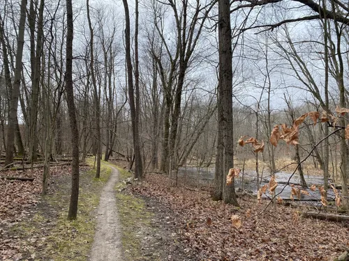 Best Hikes and Trails in Addison Oaks County Park | AllTrails