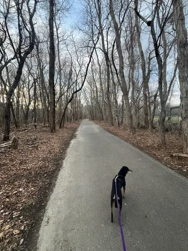 Best Hikes and Trails in Warwick City Park | AllTrails