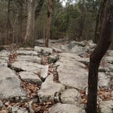 Rainbow Loop Trail and Ja-Moo-Ko Loop, Alabama - 1,122 Reviews, Map ...