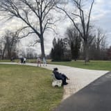 Main Trexler Park Loop, Pennsylvania - 495 Reviews, Map | AllTrails