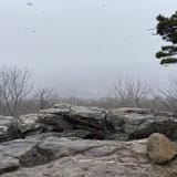 Bear's Den Park Trail, Virginia - 2,473 Reviews, Map | AllTrails