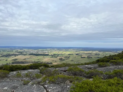 Best Hikes and Trails in Mount Stronach Regional Reserve | AllTrails