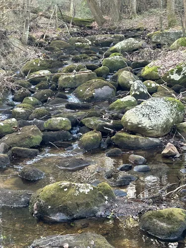 Best Hikes and Trails in Natchaug State Forest | AllTrails