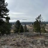 Verdi Peak Road and Stampede Meadows Loop, California - 34 Reviews, Map ...