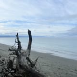 Dungeness Spit Trail, Washington - 1,538 Reviews, Map | AllTrails