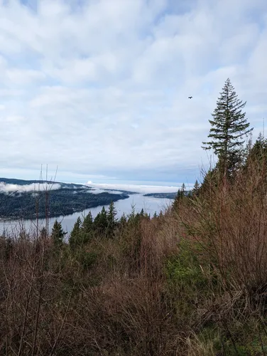 Best Hikes and Trails in Lake Whatcom Park | AllTrails