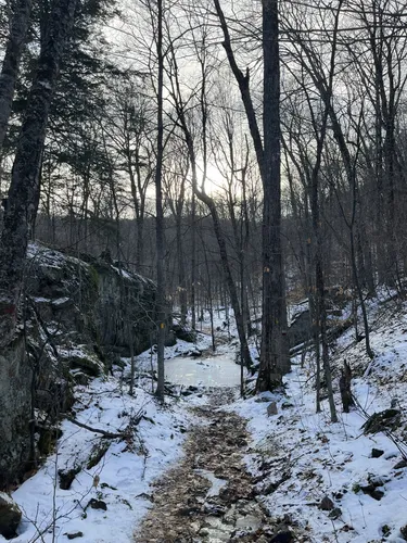 Best Hikes and Trails in Bowman | AllTrails