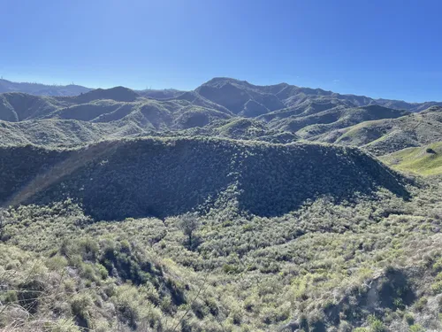 Pico Canyon Park: de beste routes om te wandelen | AllTrails