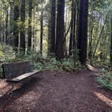 Porter Trail, California - 544 Reviews, Map | AllTrails