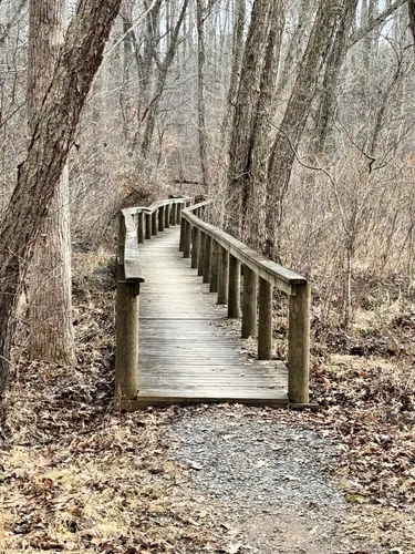 Best Hikes and Trails in Cumberland State Forest | AllTrails