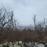 Appalachian Trail: Keys Gap to David Lesser Memorial Shelter, West ...