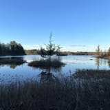 Leach Pond Trail, Massachusetts - 2,289 Reviews, Map | AllTrails