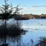 Leach Pond Trail, Massachusetts - 2,289 Reviews, Map | AllTrails