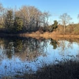 Leach Pond Trail, Massachusetts - 2,481 Reviews, Map | AllTrails